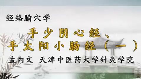孟向文一《经络腧穴学》 012 手少阴心经手太阳小肠经
