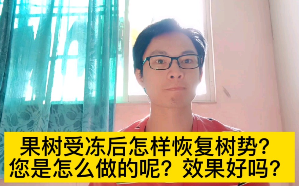 果树冬季休眠期怎么防冻害?