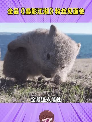 ...的风还是吹到了江湖 #三星AI折叠手机 #三星首款智能戒指来了 #金晨