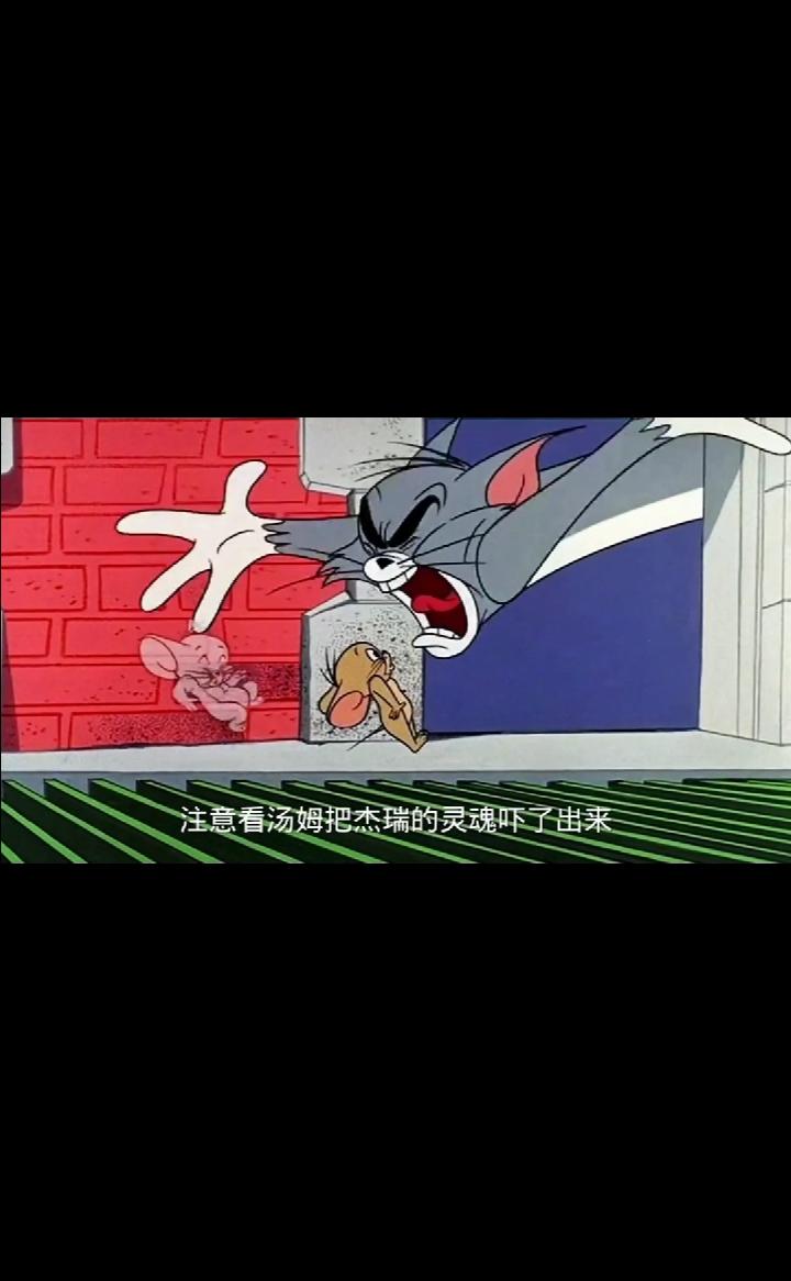#经典动画片:猫和老鼠#…