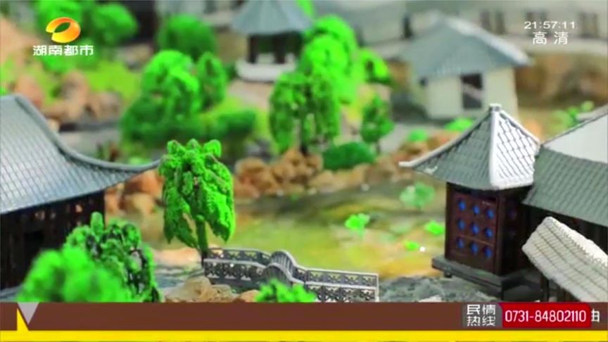 园林专业就是种树的?湖南高校展示3D模型硬核科普!|都市晚间