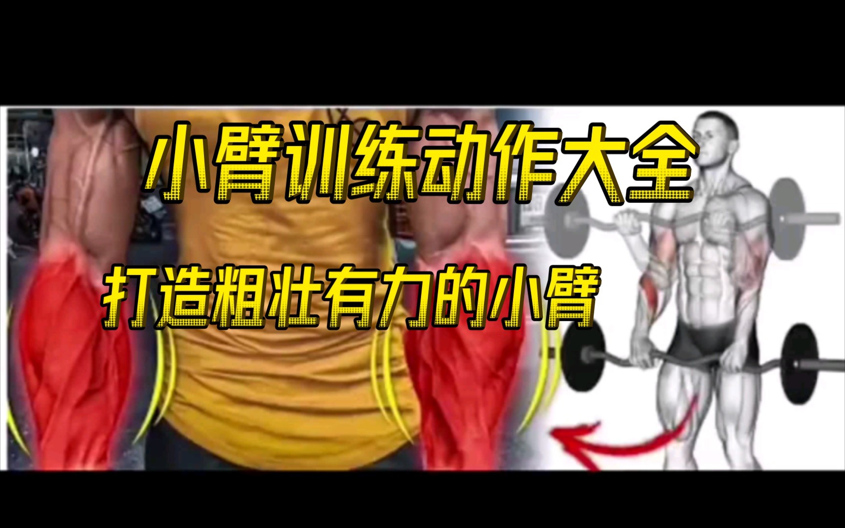 ...小臂肌肉不长怎么办?全部看过来,小臂力量训练,帮助你小手臂增粗。