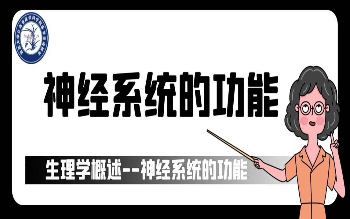生理学—神经系统的功能