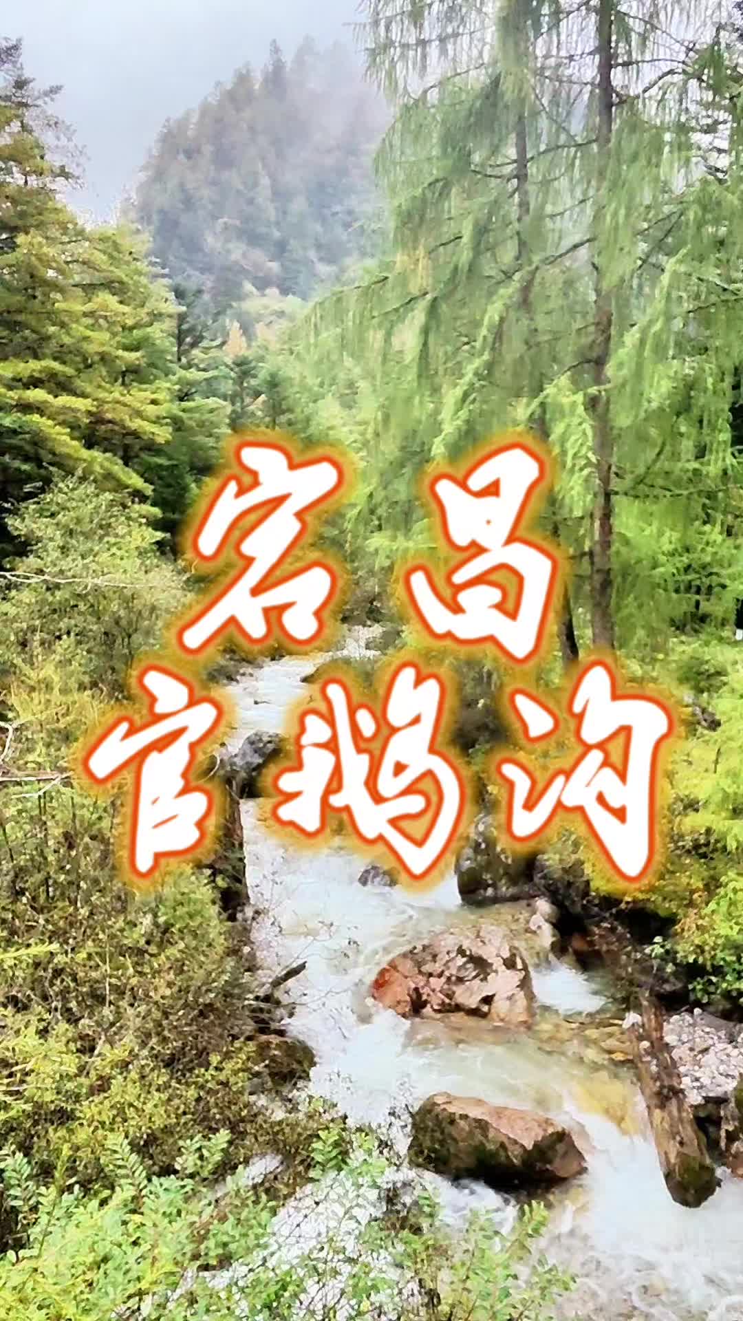 挑战连续6天带你玩陇南～第4天!陇南宕昌官鹅沟(官珠沟+鹅嫚沟)#兰州...