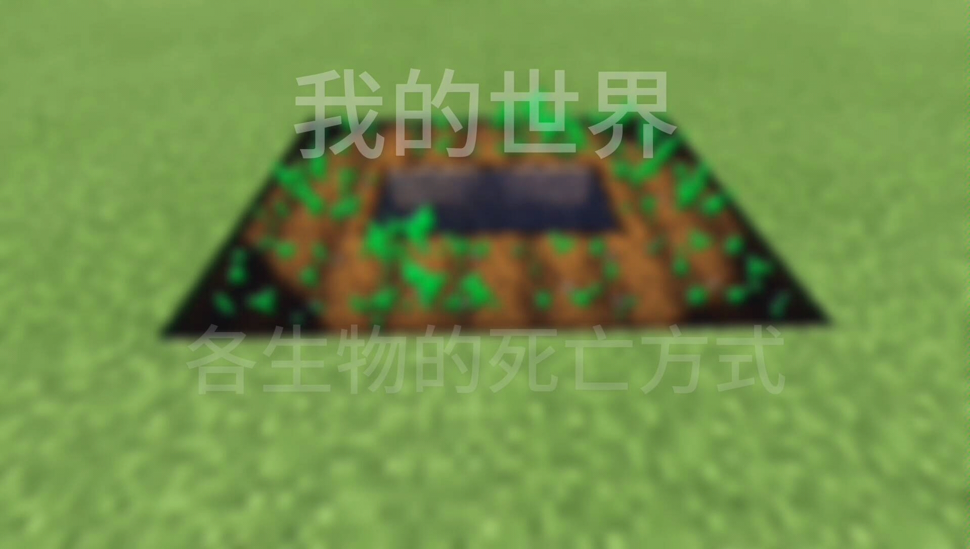 我的世界:各生物的死法