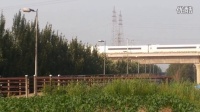 【CRH380B-6263】首发K368连广快速精彩回放