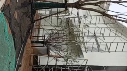 被动房,装配式建筑,
