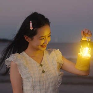 草莓小边夹 