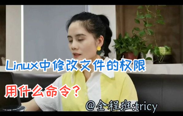 面试题:Linux中修改文件的权限用什么命令?