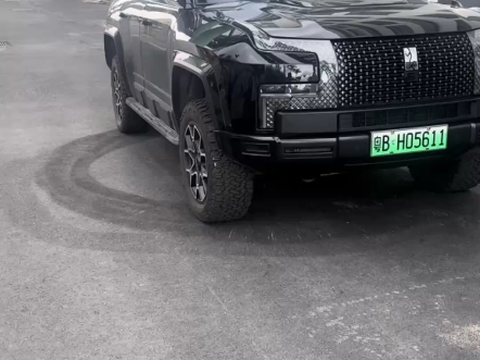 比亚迪仰望原地掉头功能 原地掉头,应急浮水你觉得这个功能点?