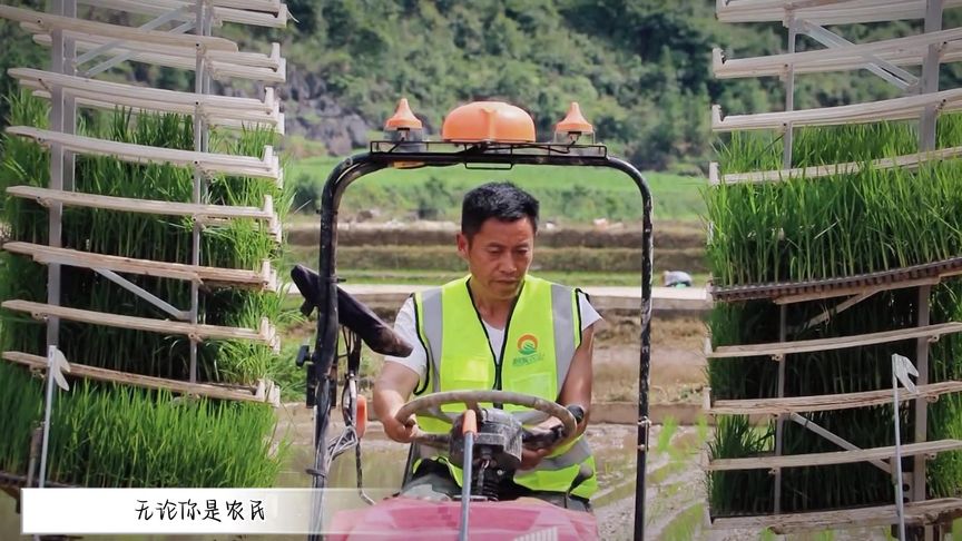 守护中华民族传统美德,守护国家粮食安全