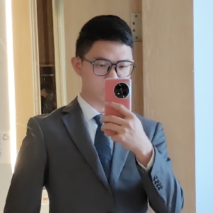 应总监y 