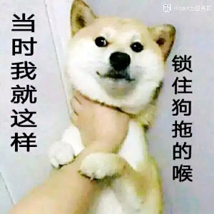 丢雷楼某改个名6个币 