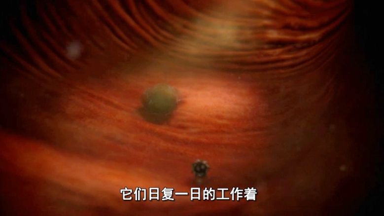空气中那么多的细菌病毒等病原体,身体是如何保护我们的