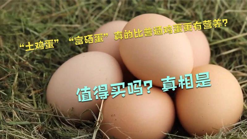 "土鸡蛋""富硒蛋"真的比普通鸡蛋更有营养值得买吗真相是