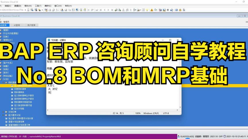 BAP ERP 咨询顾问自学教程No.8 BOM和MRP基础
