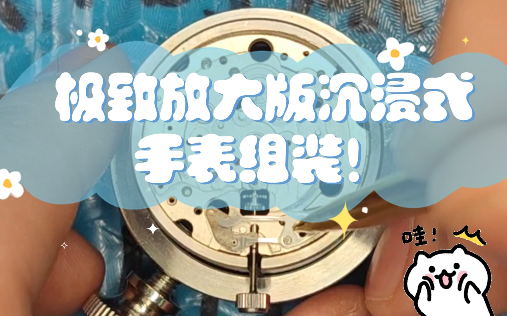 极致放大版沉浸式手表组装!西铁城8200机芯组装全过程!