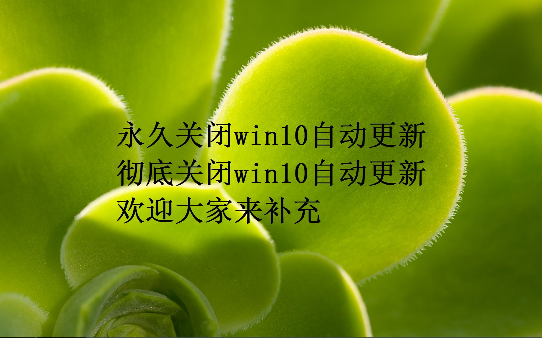 win10关闭自动更新