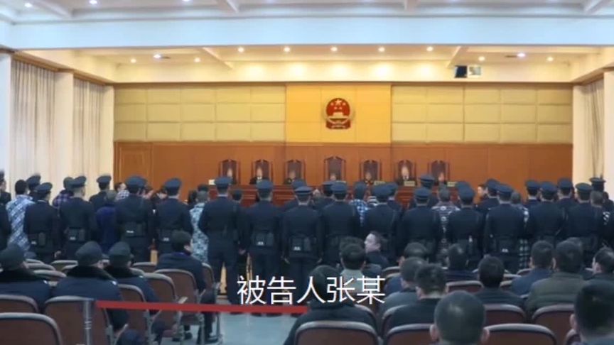 以小额贷为名暴力敛财,武汉一黑社会性质组织犯罪案宣判