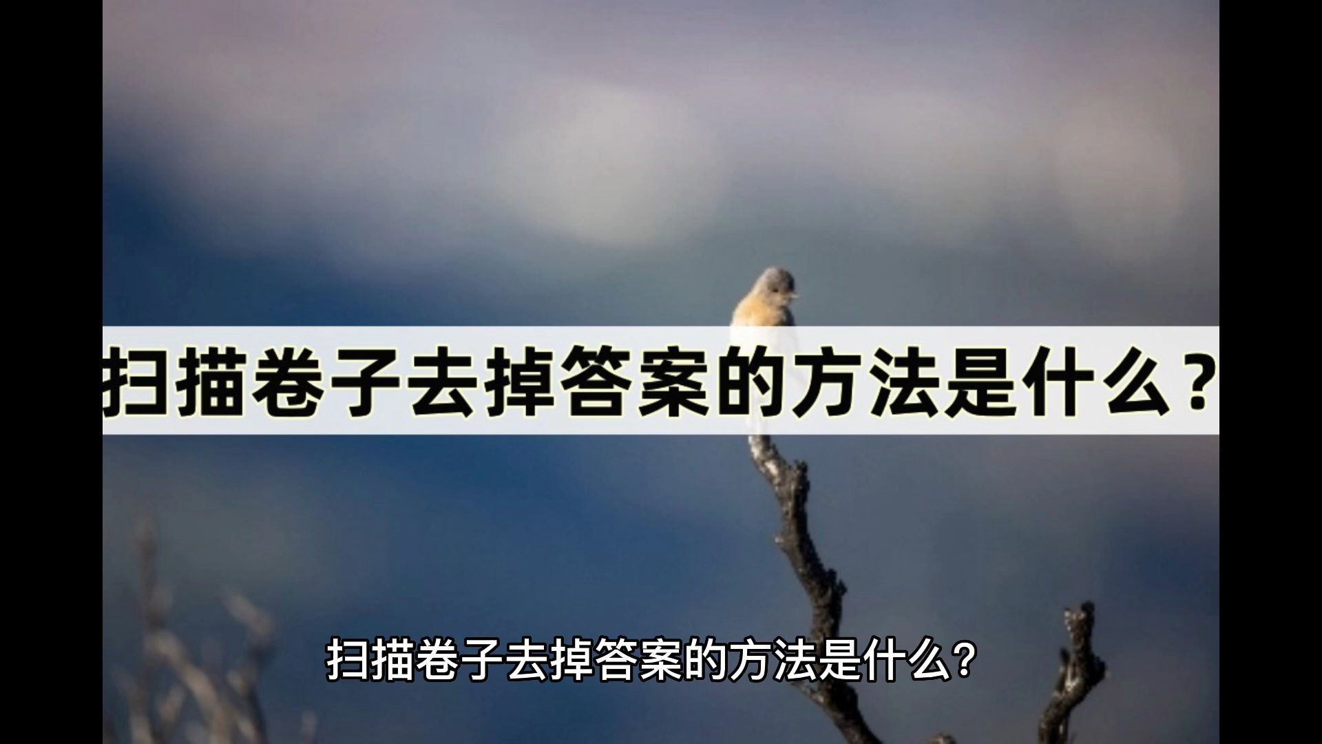 扫描卷子去掉答案的方法是什么?三个方法帮你去除
