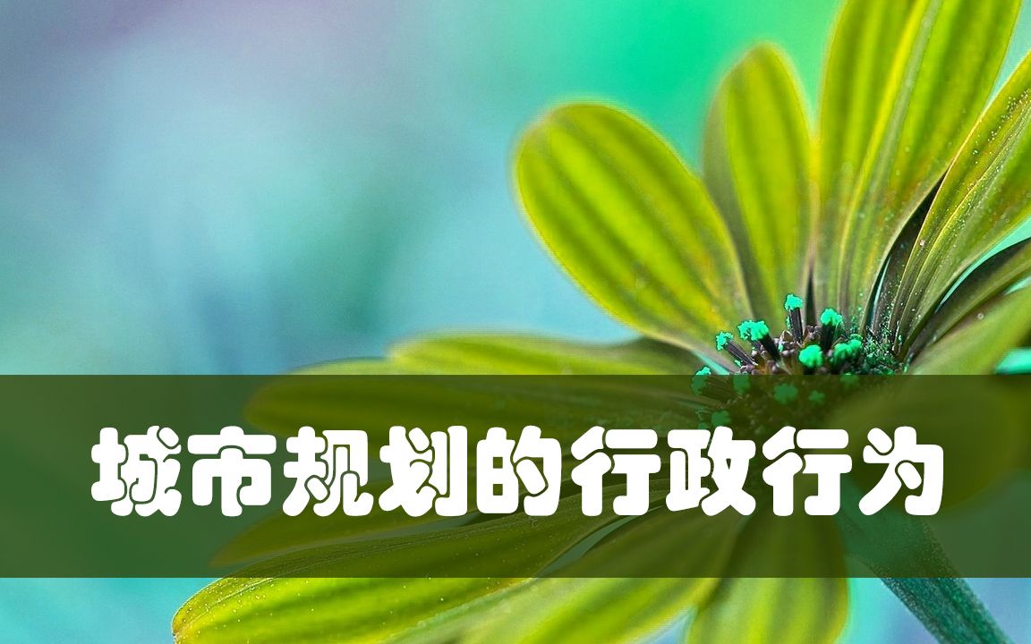 城市规划的行政行为