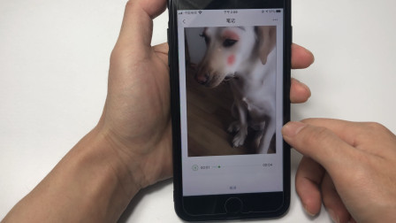 微信可以发有声音的照片?方法很简单,一学就会很实用