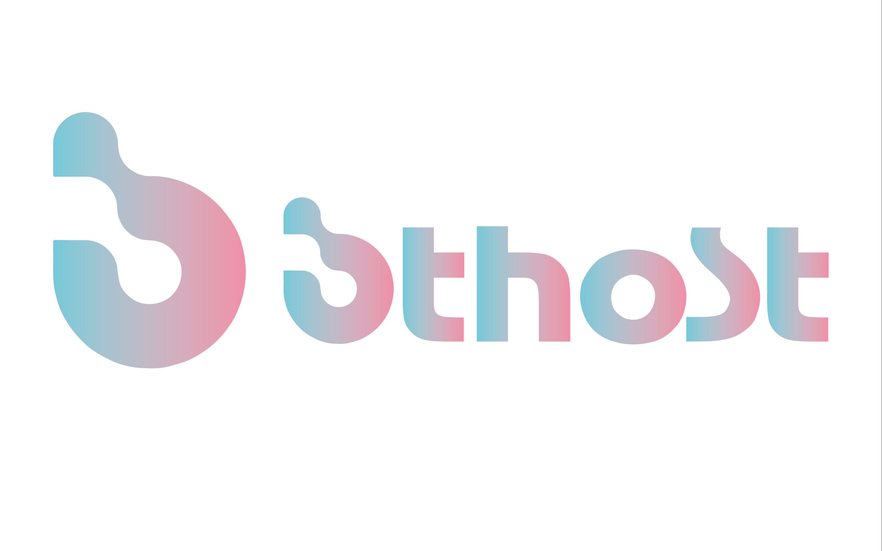 bthost宝塔虚拟主机程序安装及应用教程