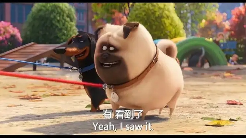 学习英语原声动画片 中英文双语字幕 片段2