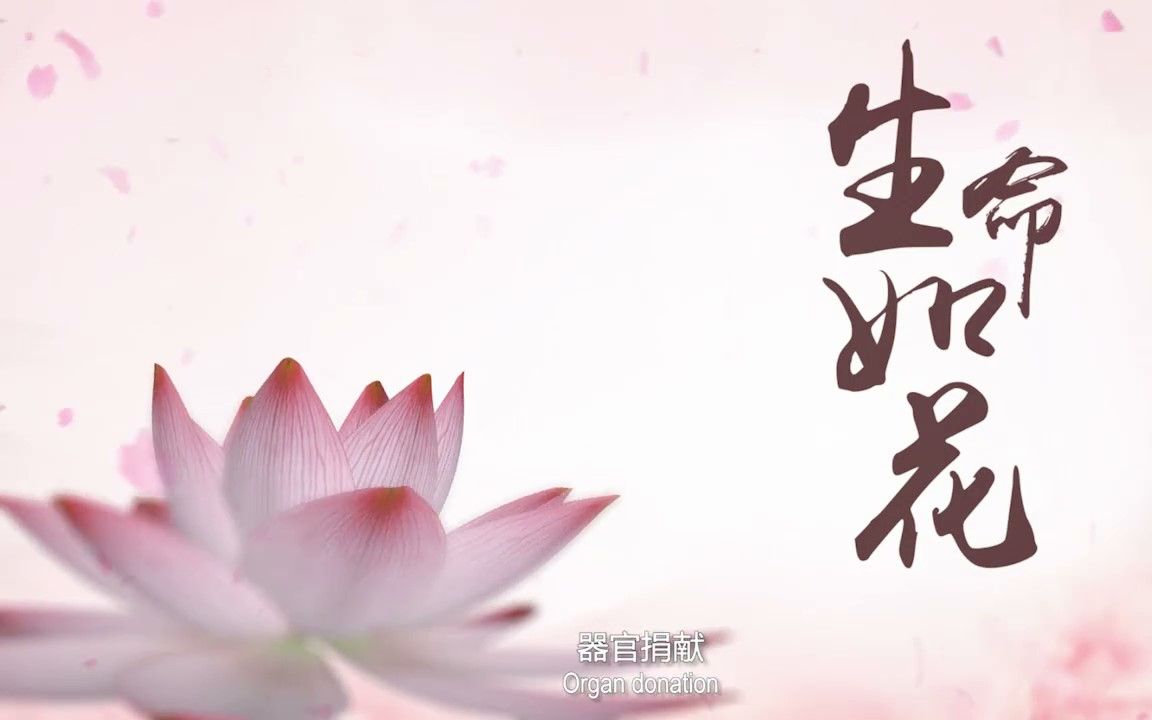 《生命如花》——2019全国人体器官捐献缅怀纪念暨宣传普及活动