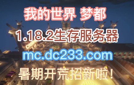 我的世界服务器DreamCity-梦都丨1.18.2高版本生存服务器暑期开荒招...