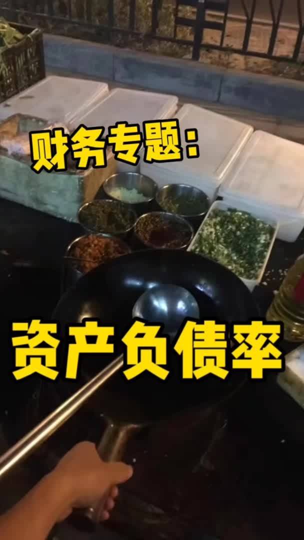 同事让我通俗的说下资产负债率…