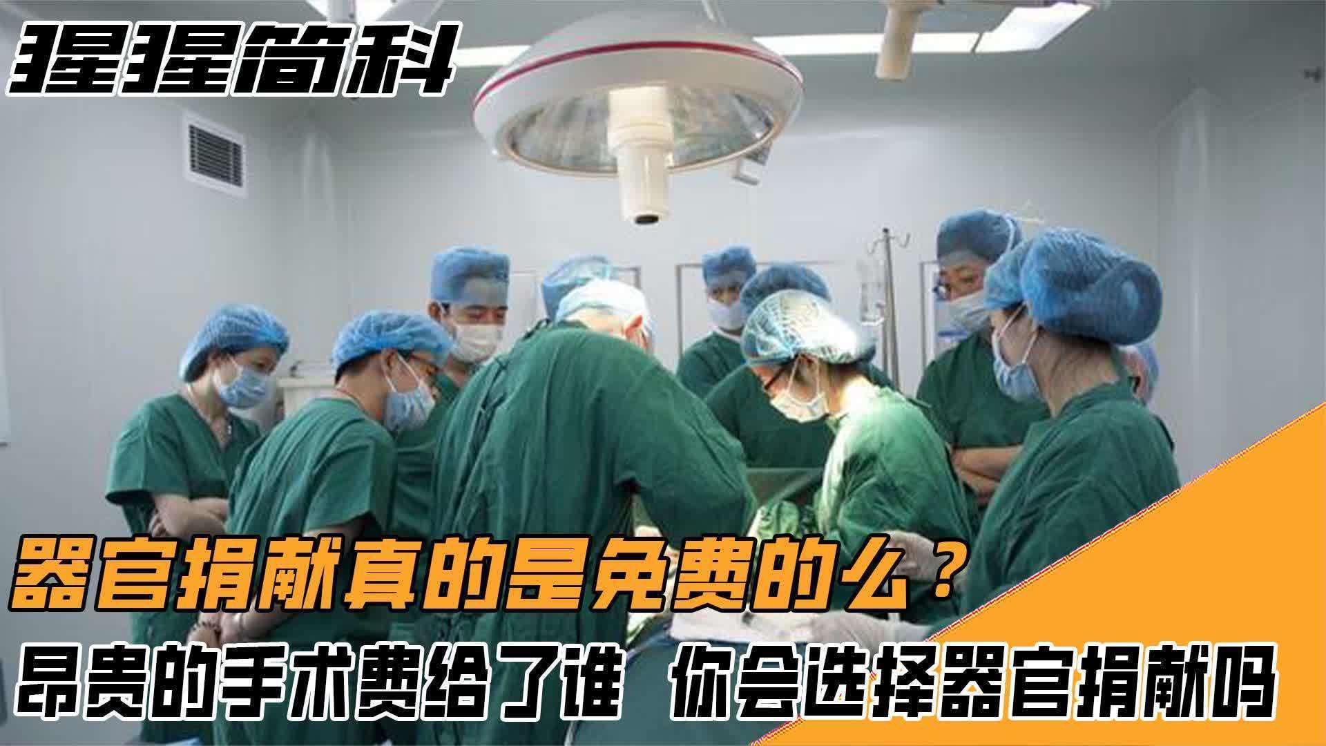 器官捐献真的免费?昂贵的手术费付给了谁?你会选择器官捐献吗?