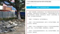 广州市大规模迁移砍伐城市树木事件,10名领导干部被问责