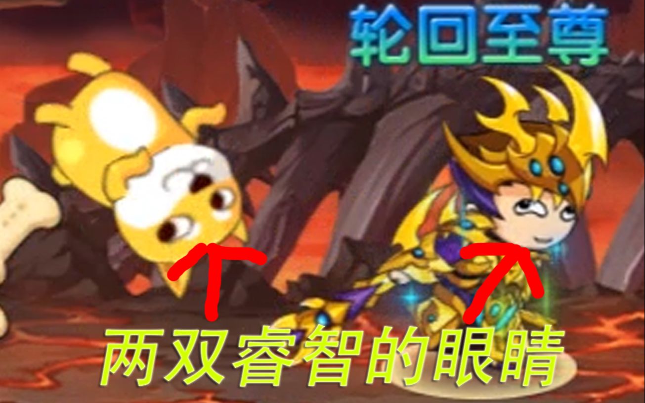 【造梦无双】暴打汪汪,以及自己对于无双的一些看法和想法