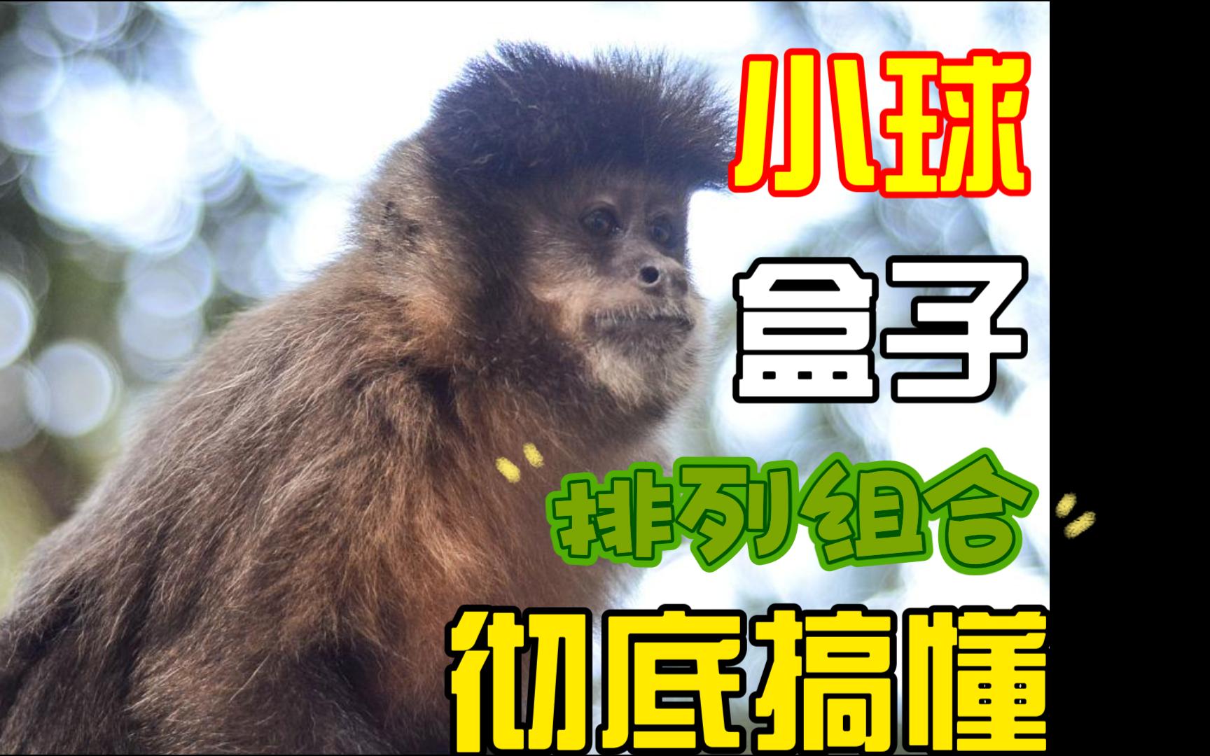 排列组合-全网最全的小球盒子问题