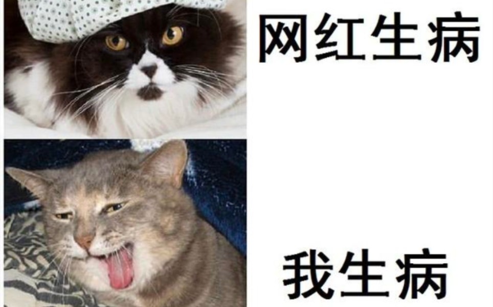 网上那些令你笑到肚子疼的沙雕图片?Σ(ﾟ∀ﾟﾉ)ﾉ