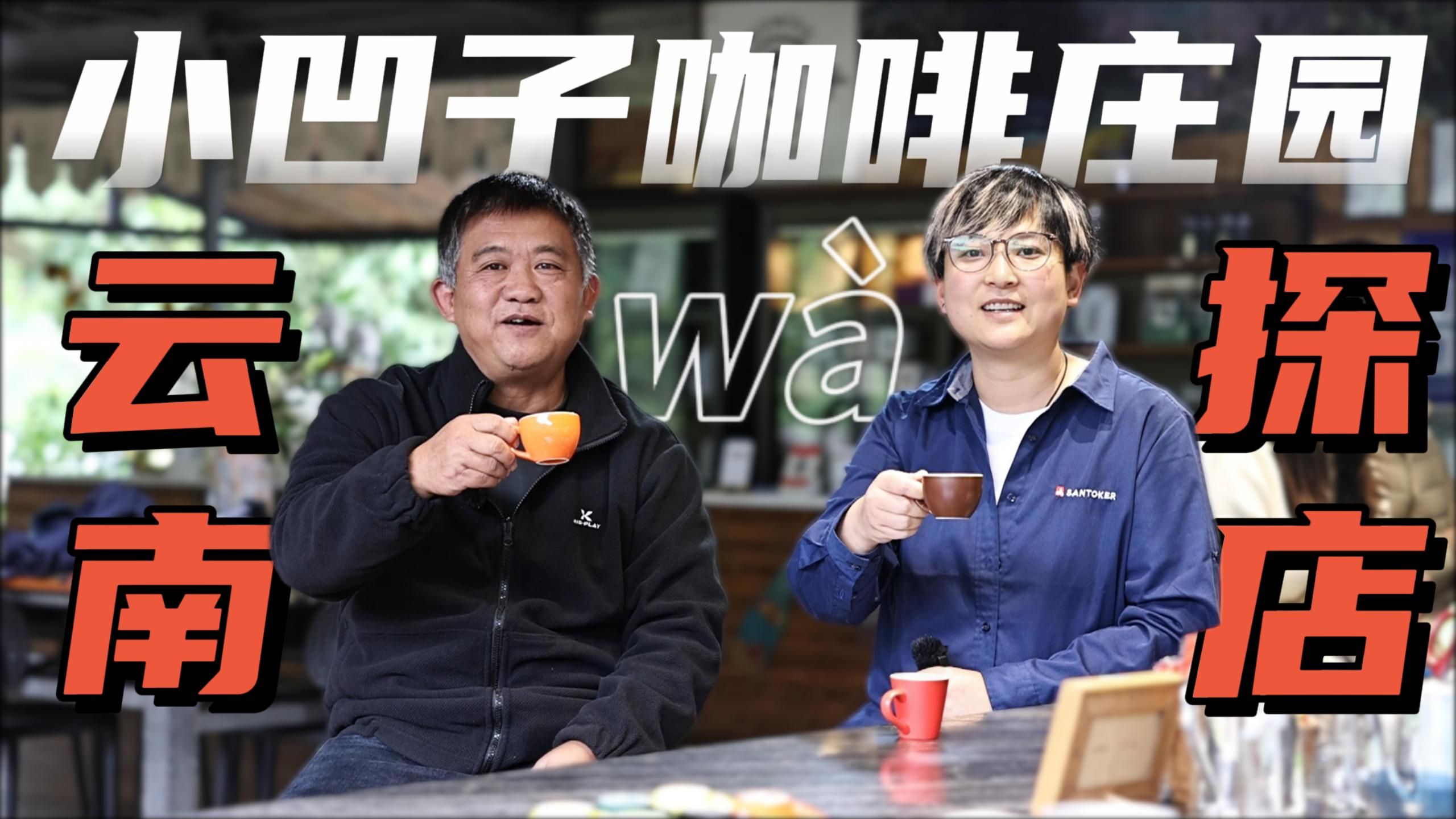 【云南探店】小凹子咖啡庄园