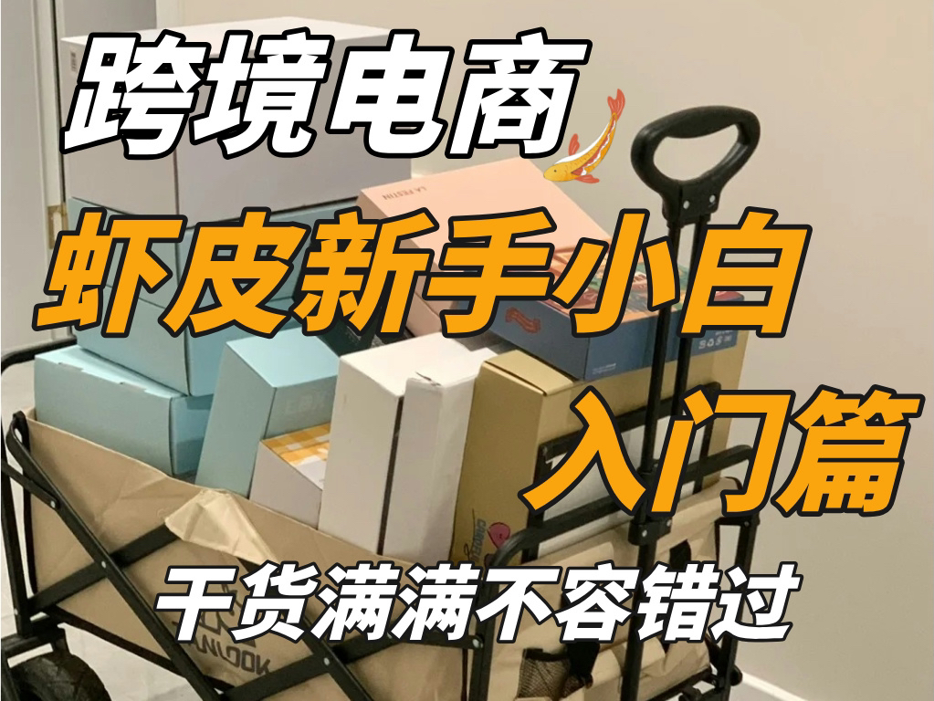 三分钟告诉你跨境电商虾皮小白如何入门!干货满满不要错过!