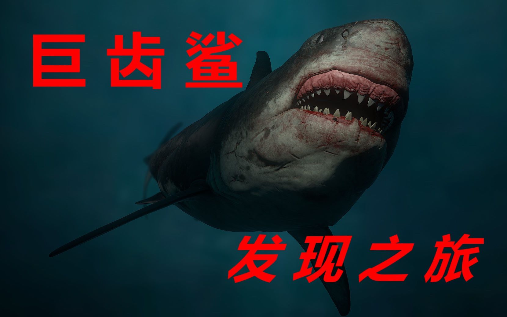 【巨齿鲨】沧海之皇的发掘之旅——巨齿鲨和大白鲨到底是什么关系?