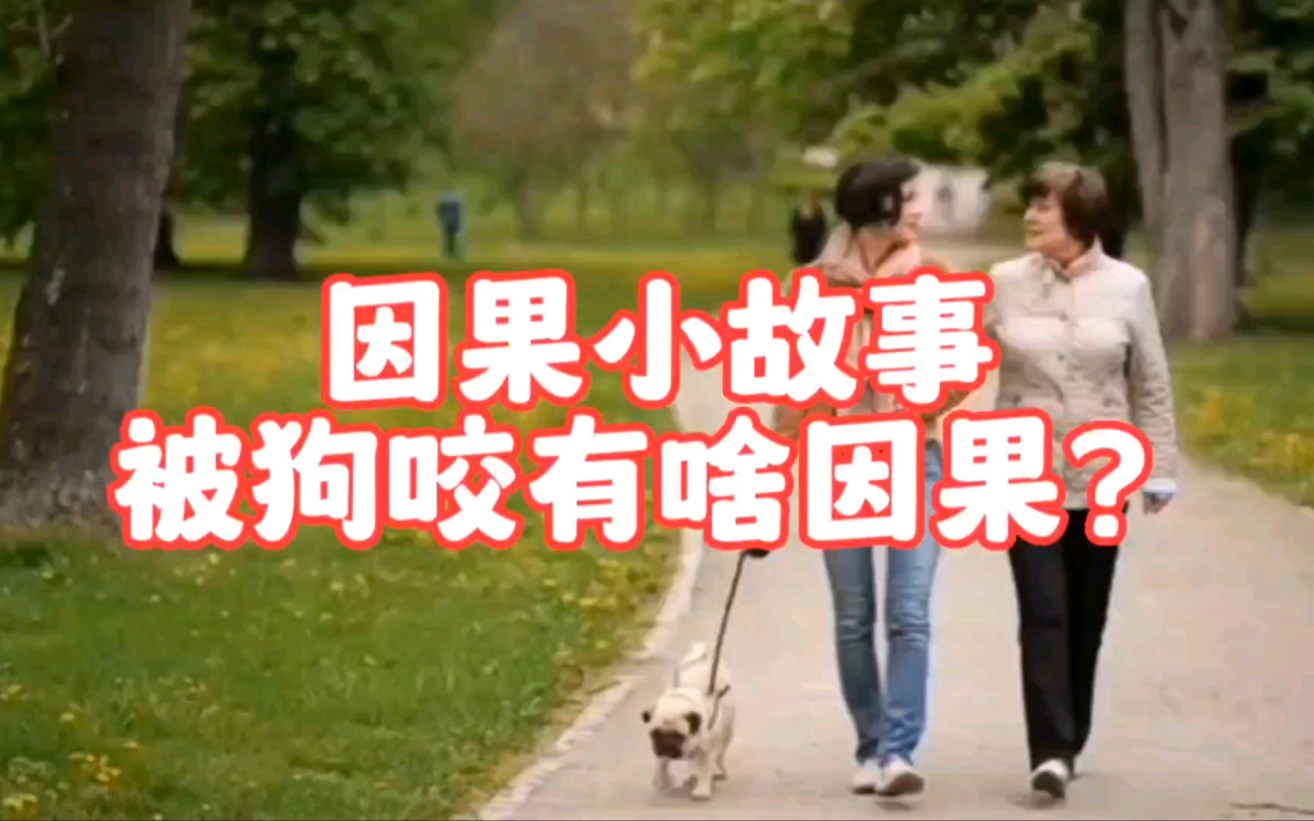 被狗咬背后有啥因果?