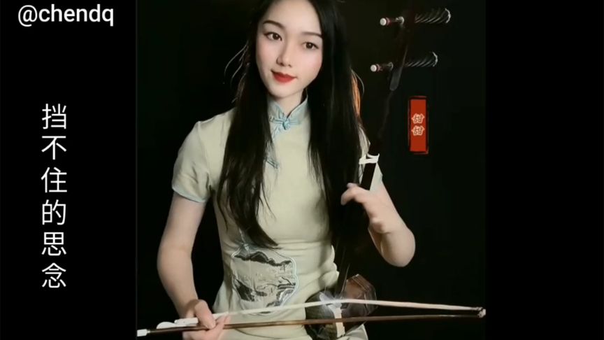 二胡演奏《挡不住的思念》