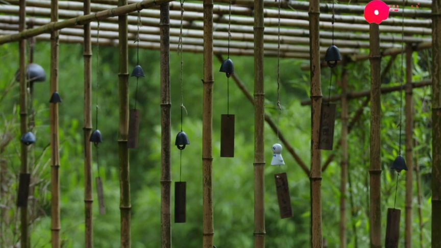 农村小哥用竹子搭花架,成本不到钢管的十分之一,文艺美观又好看