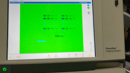 化学发光成像仪拍膜和marker及合并操作演示