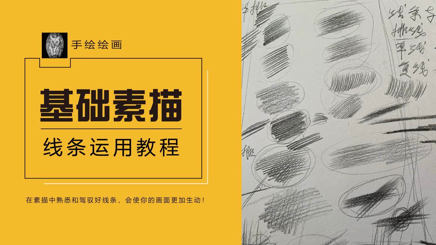 零基础素描排线与线条运用技巧分享给你,别再说不会排线条啦!
