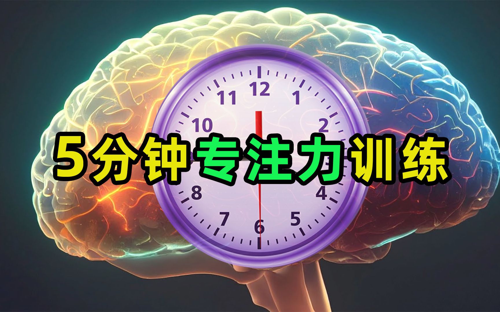 【钟表模型】5分钟专注力训练,净化杂念练习(5分钟版)