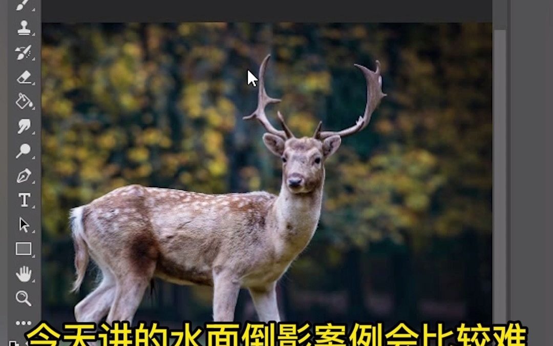 挑战100天教会粉丝Ps.第四天,制作水面倒影效果。效果比较难,大家...