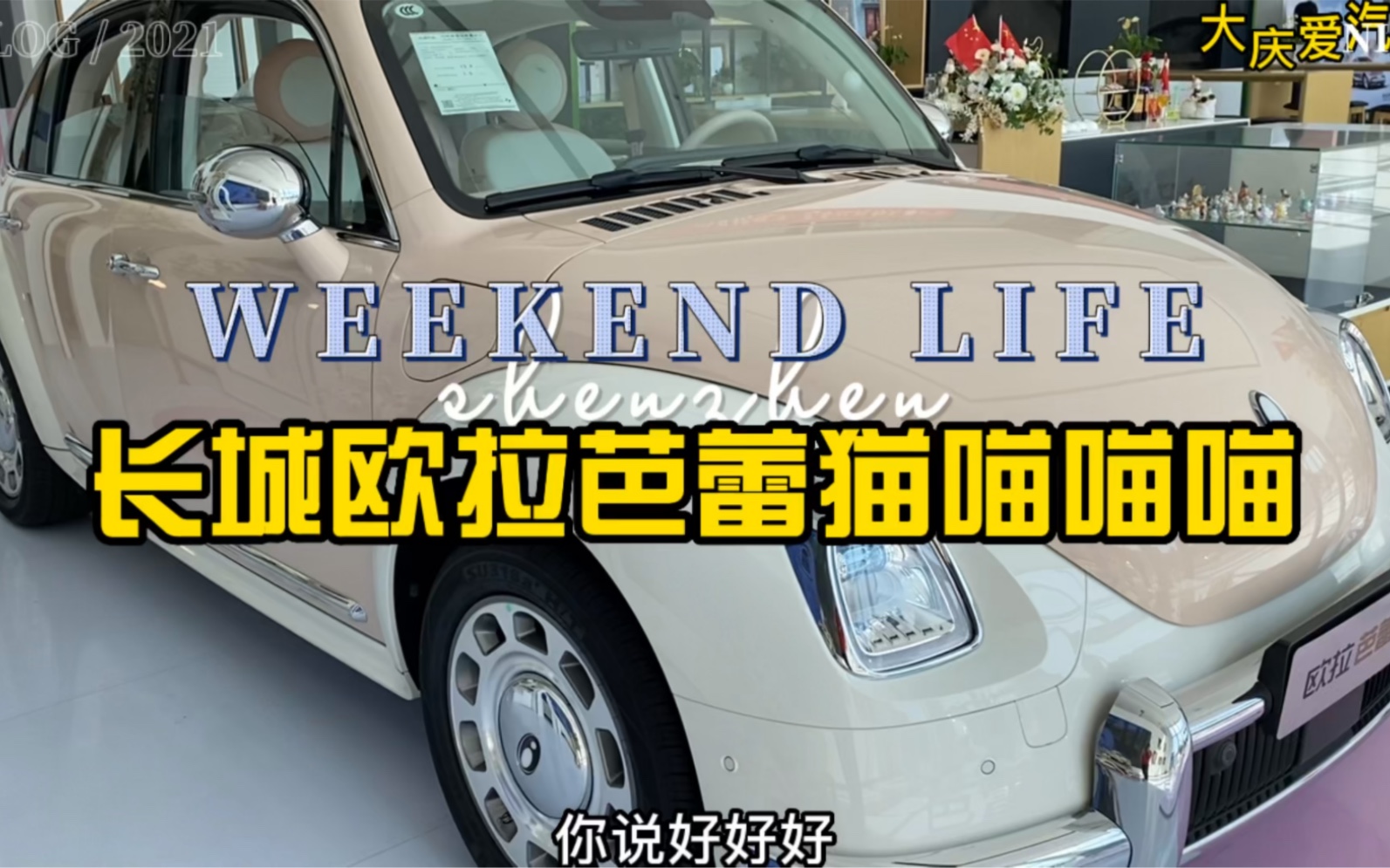 我们一起学猫叫一起喵喵喵喵喵。!长城欧拉芭蕾猫电动汽车