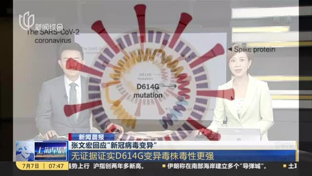 ...张文宏回应“新冠病毒变异”——无证据证实D614G变异毒株毒性更强