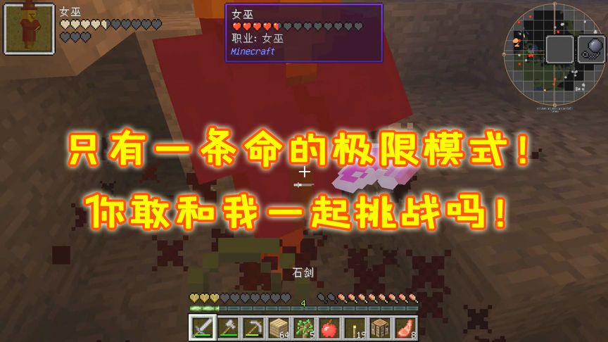 我的世界极限生存1:挑战MC最难模式!第一晚就如此惊险刺激?