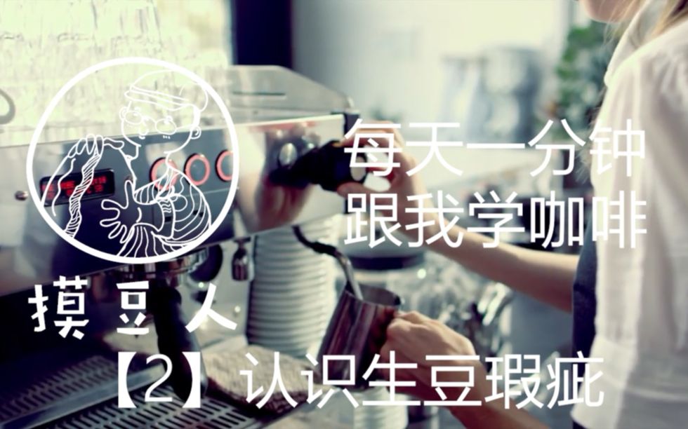 认识生豆瑕疵【银河系喝咖啡指南】【每天一分钟跟我学咖啡】